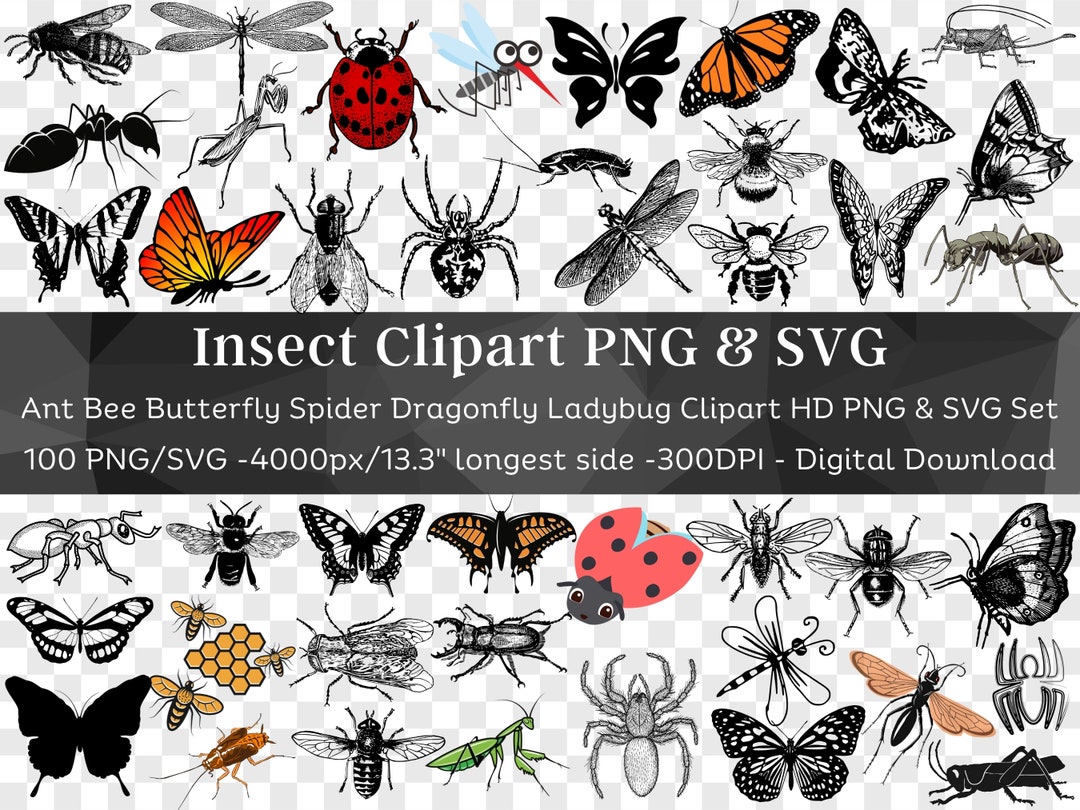 Insect Clipart 100 PNG & SVG Set| Bug Silhouette Ant Bee Butterfly Fly ...