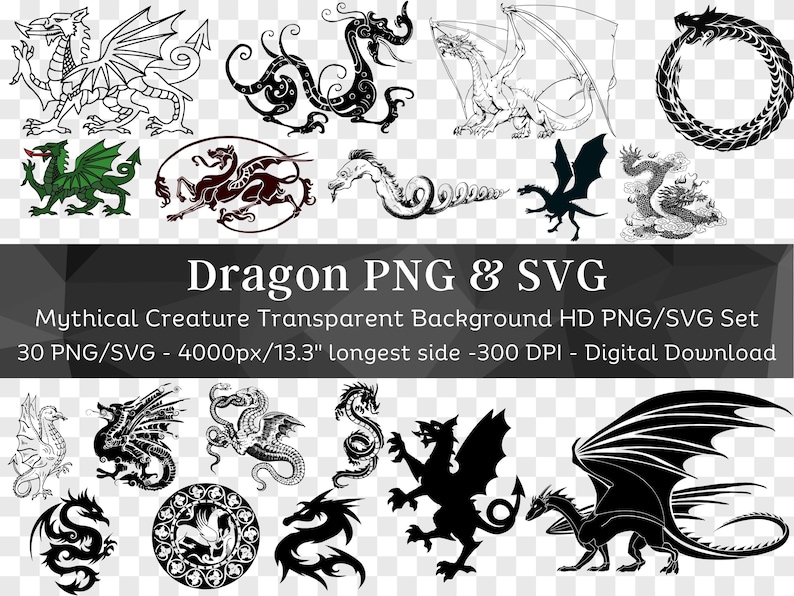 Dragon 30 PNG & SVG Bundle | Dragon Clipart | Dragon SVG | Dragon ...