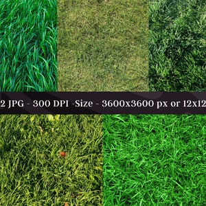 Digital Grass & Lawn Texture | 22 Digital Grass Paper | Scrapbook ...
