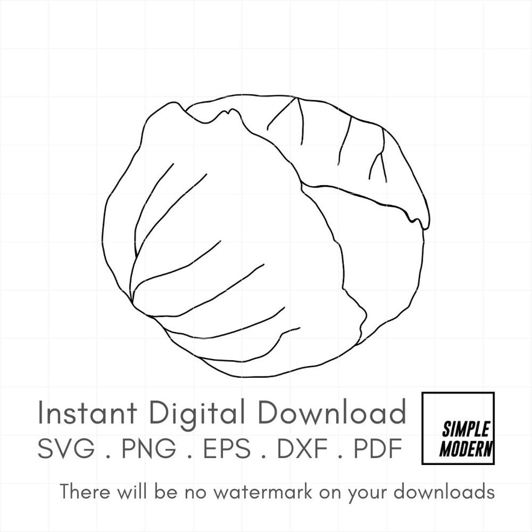 Hand-drawn Cabbage Vegetable Border SVG, Simple Minimalist Line Art ...