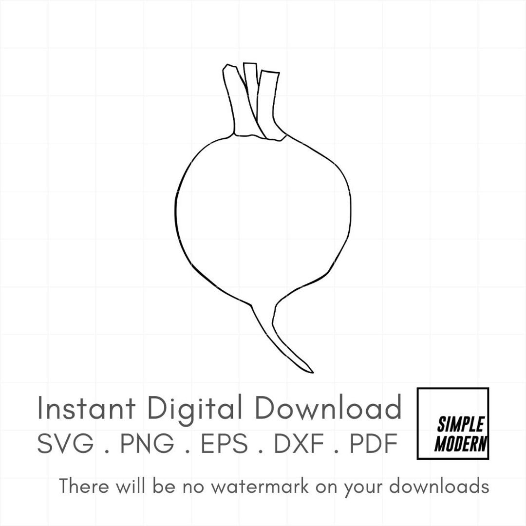 Hand-drawn Beetroot SVG File, Minimalist Vegetable Line Art, Botanical ...