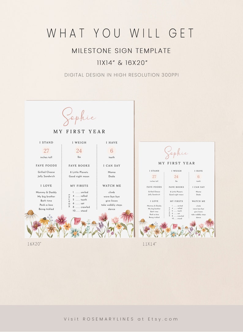 Wildflower Birthday Milestone Sign Template, Colorful Floral One Year ...