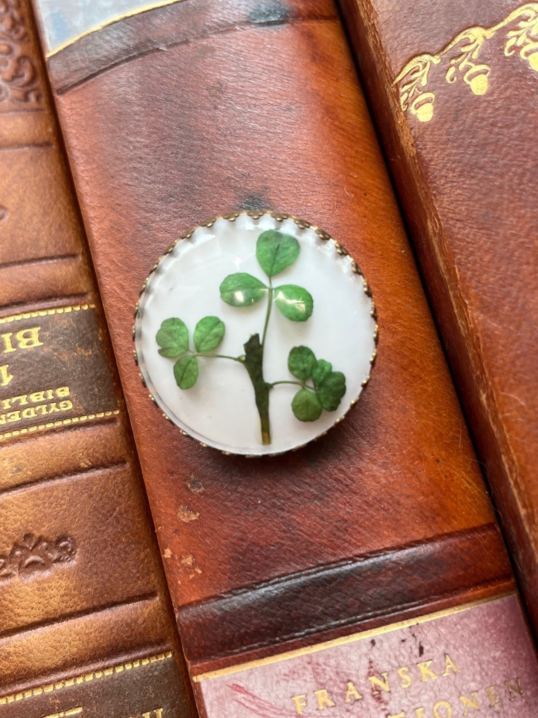 Vintage Dried Shamrock Green Lucky Four Leaf Clover Pin Brooch - Etsy