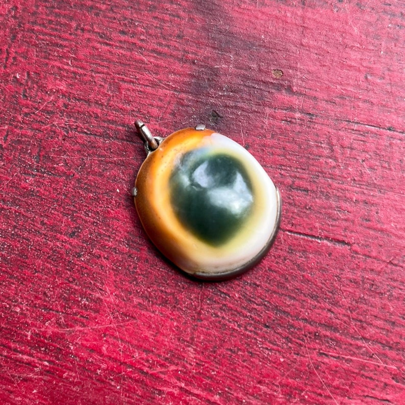 Antique Sterling Silver & Operculum Shell Pendant - Etsy