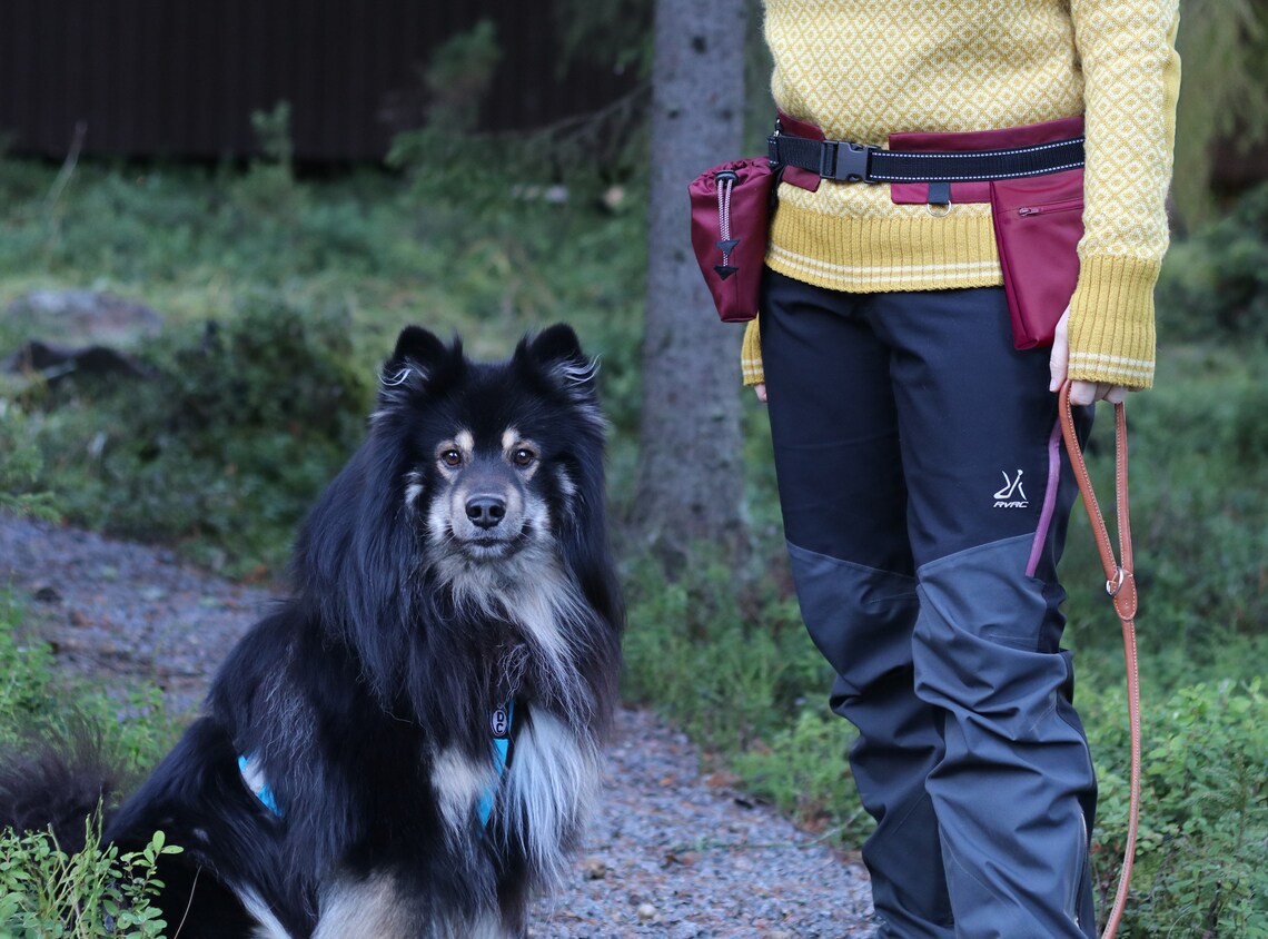 Hiking Belt Bag PDF Sewing Pattern Dog Activity Belt Pattern - Etsy