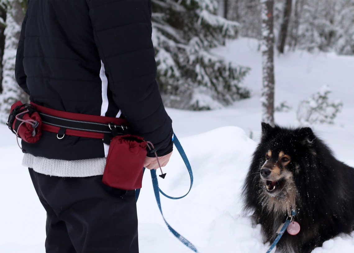 Hiking Belt Bag PDF Sewing Pattern Dog Activity Belt Pattern - Etsy