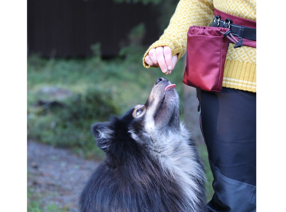 Hiking Belt Bag PDF Sewing Pattern Dog Activity Belt Pattern - Etsy