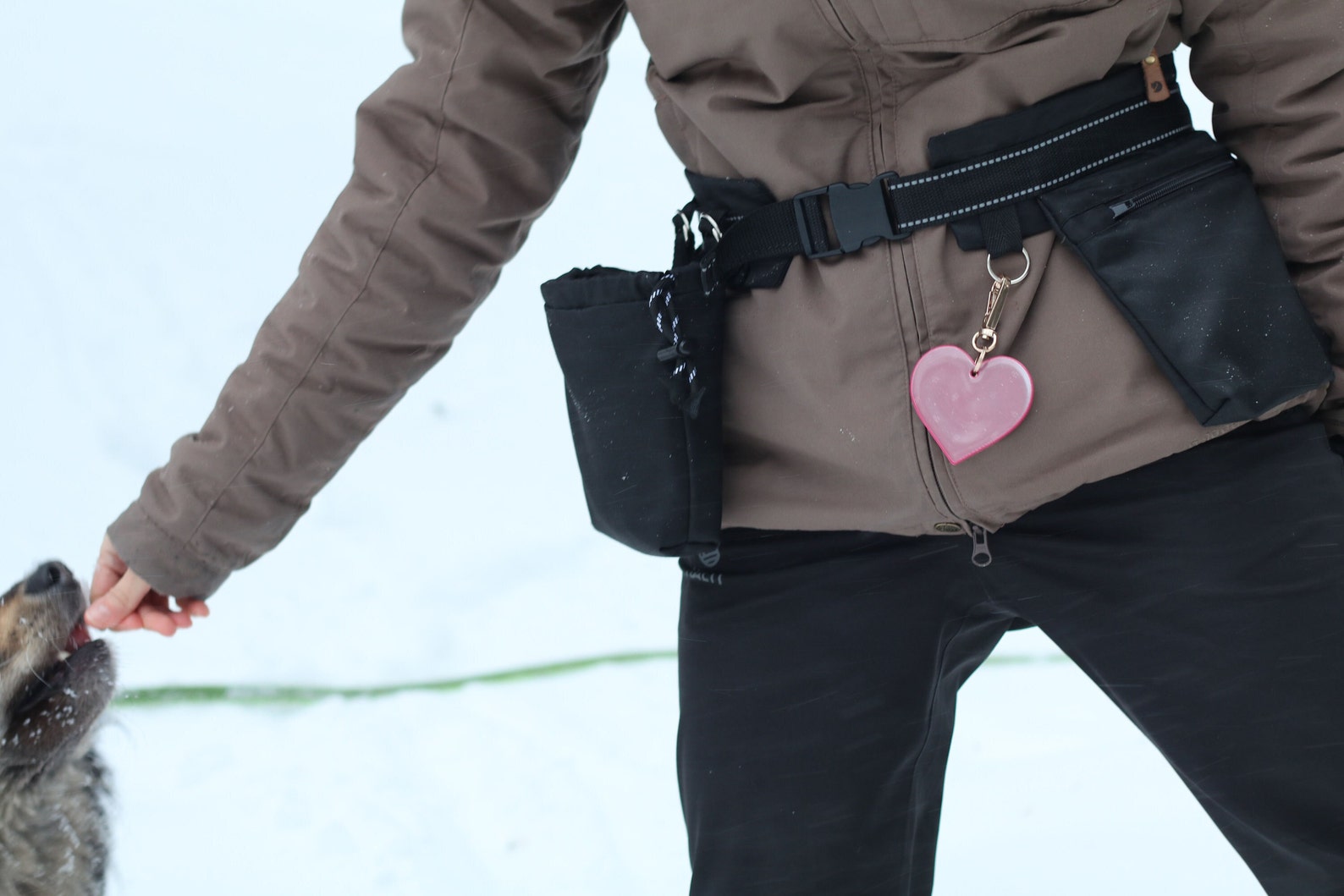 Hiking Belt Bag PDF Sewing Pattern, Dog Activity Belt Pattern, Fanny ...