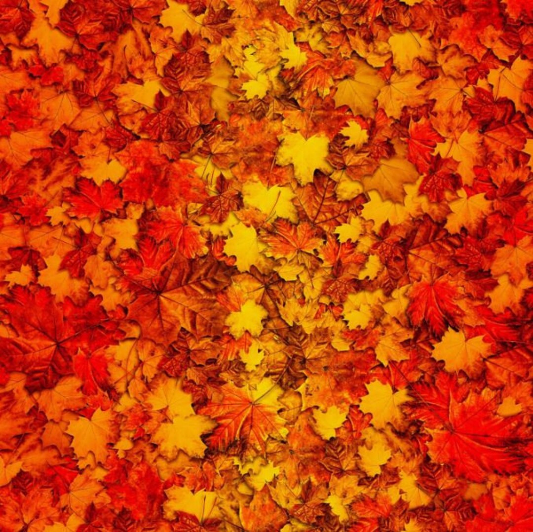 Orange Ombre Leaves- Tidbits by Freckle & Lollie Collection- Continuous ...