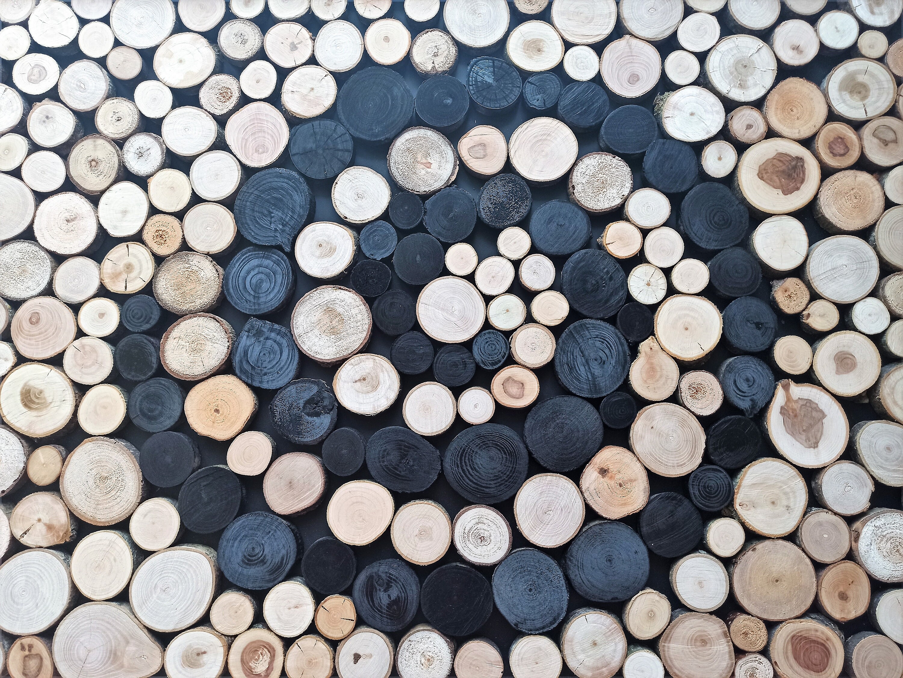 Acoustic Panel Art Rustic Wall Decor Reclaimed Log Slices Modern Art ...