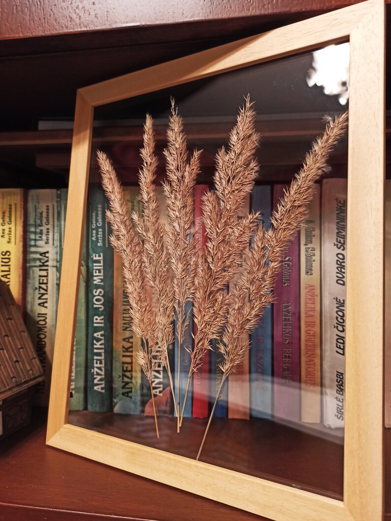 Pampas Grass Frame, Rustic Bouquet Framed, Natural Grass Frame, Wild ...