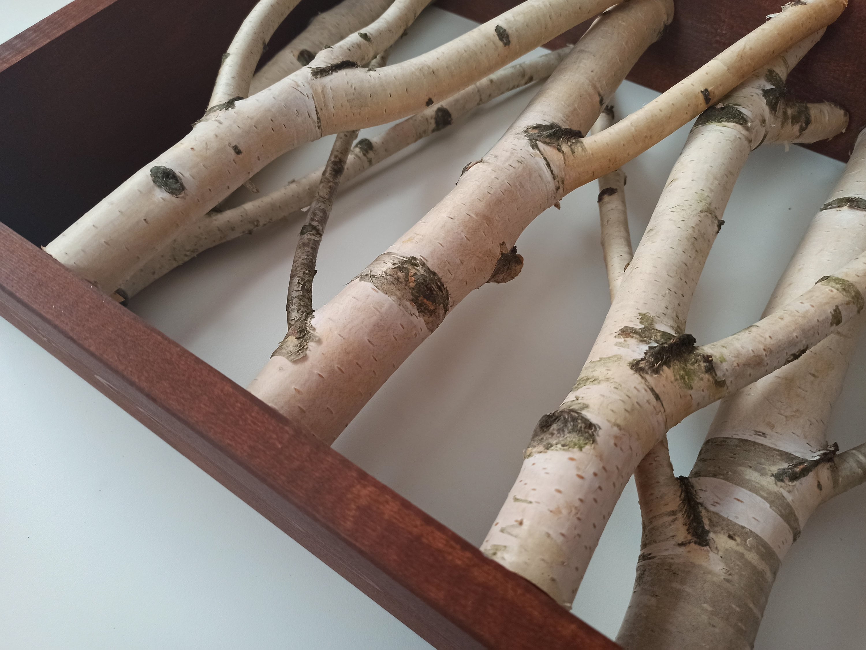 Rustic Wall Decor Birch Wall Art Framed Birch Branches Brown Frame Wall ...