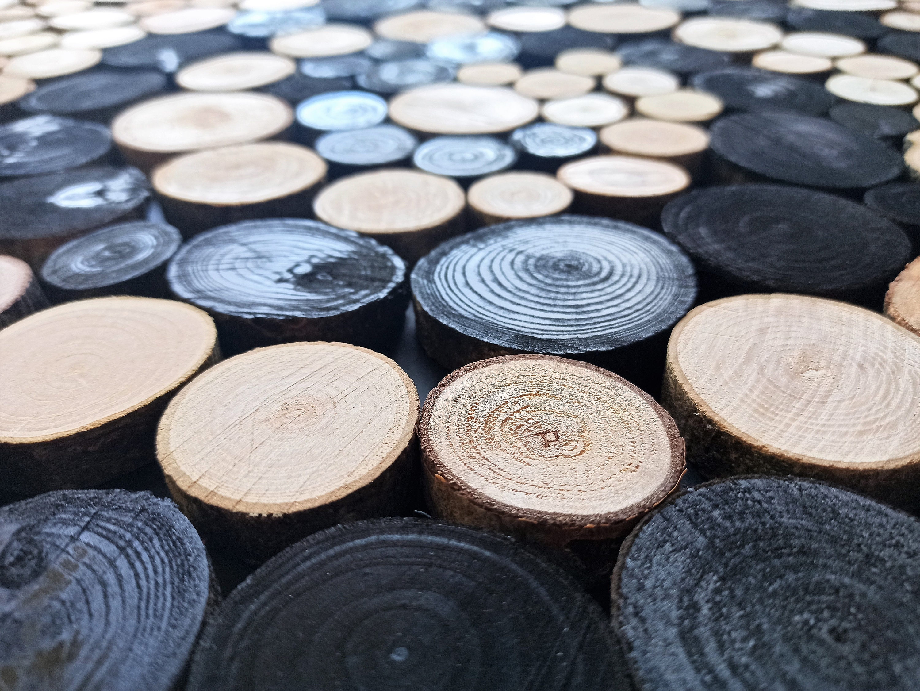 Acoustic Panel Art Rustic Wall Decor Reclaimed Log Slices Modern Art ...