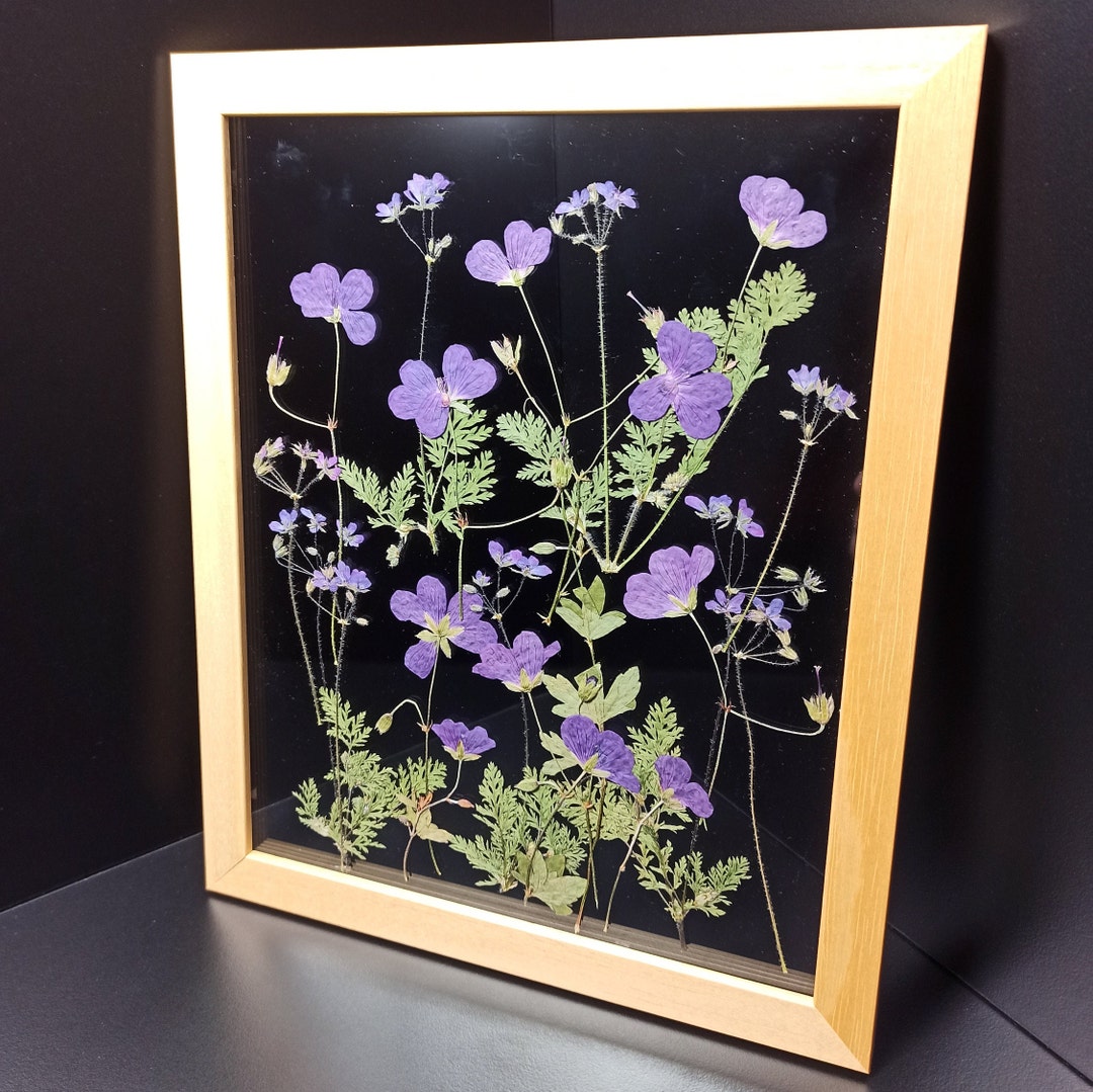 Pressed Flower Frame Framed Pressed Flower Pressed Framed - Etsy
