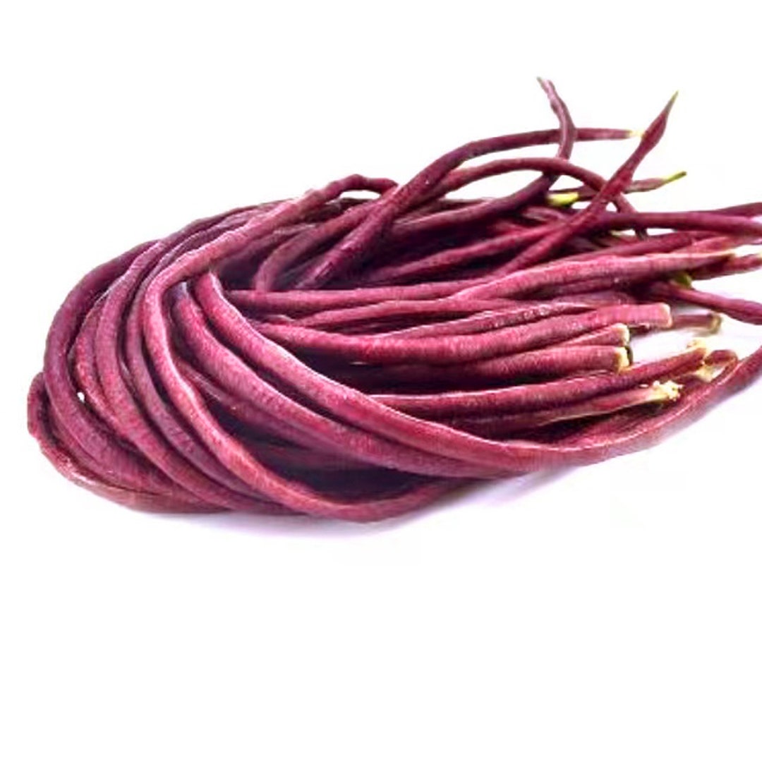Organic Seeds Chinese Purple Yard Long Bean Seeds Red Noodle Bean Seeds ...