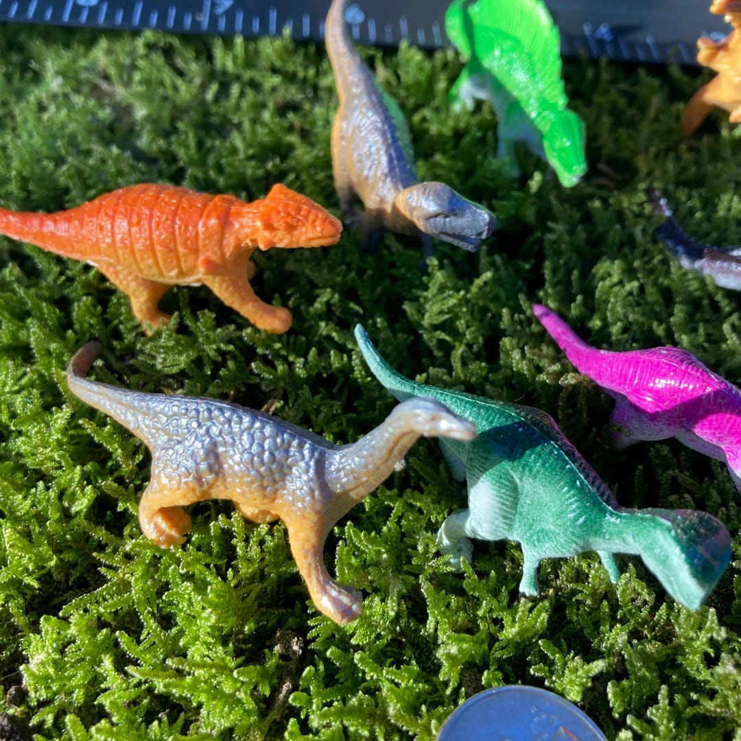 10 Miniature Dinosaurs for Terrariums Fairy Gardens Bonsai Christmas ...