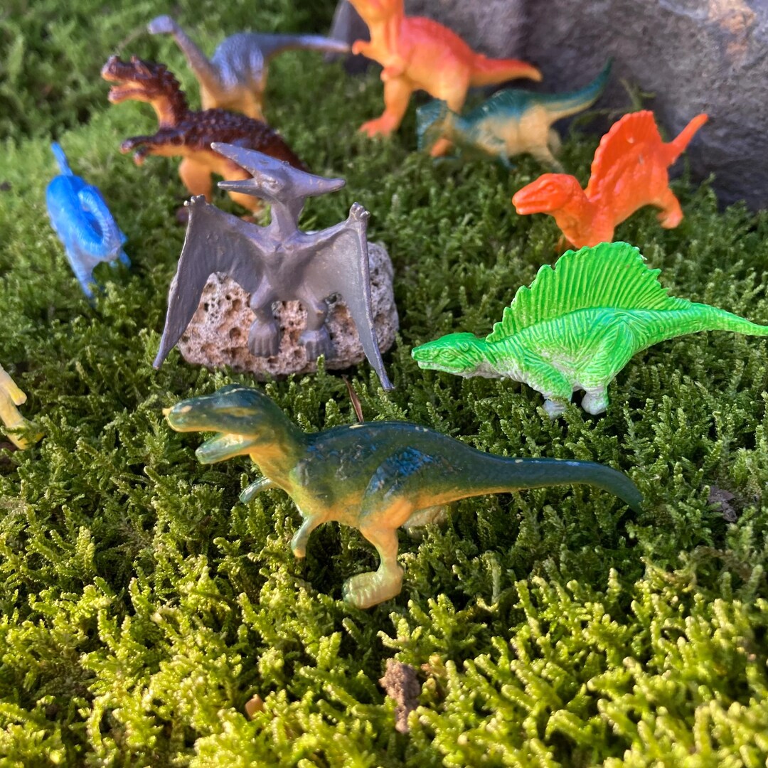 10 Miniature Dinosaurs for Terrariums Fairy Gardens Bonsai Christmas ...