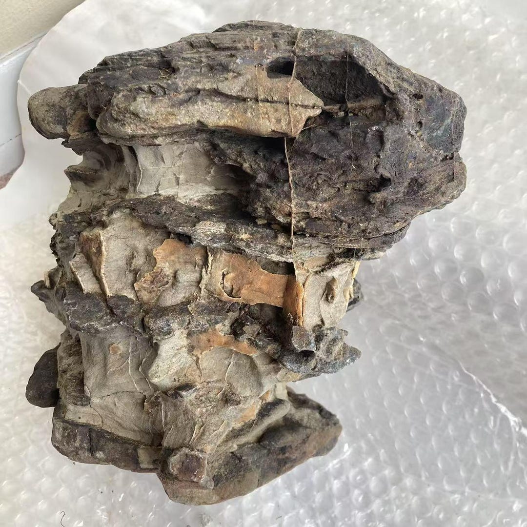 Very UNIQUE Large Rock of Chert and Limestone , Great for Zen Garden ...