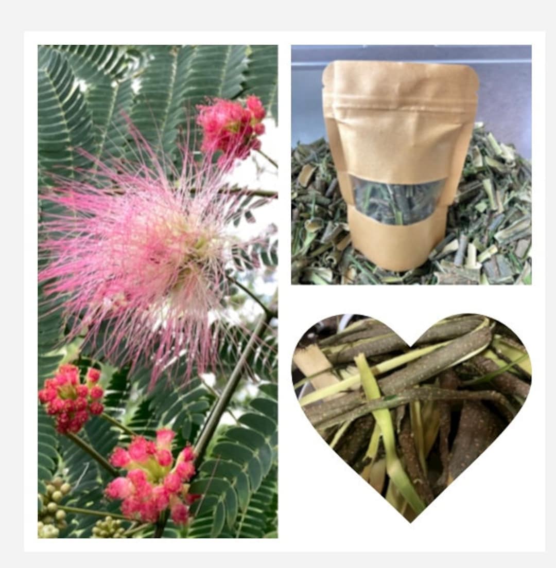 Organic Dried Mimosa Tree Bark/medicinal/ Albizia Julibrissin/ Persian ...