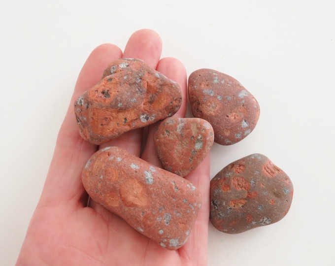 Michigan Amygdaloidal Basalt & Rhyolite Rocks, Space Stones, Michigan ...