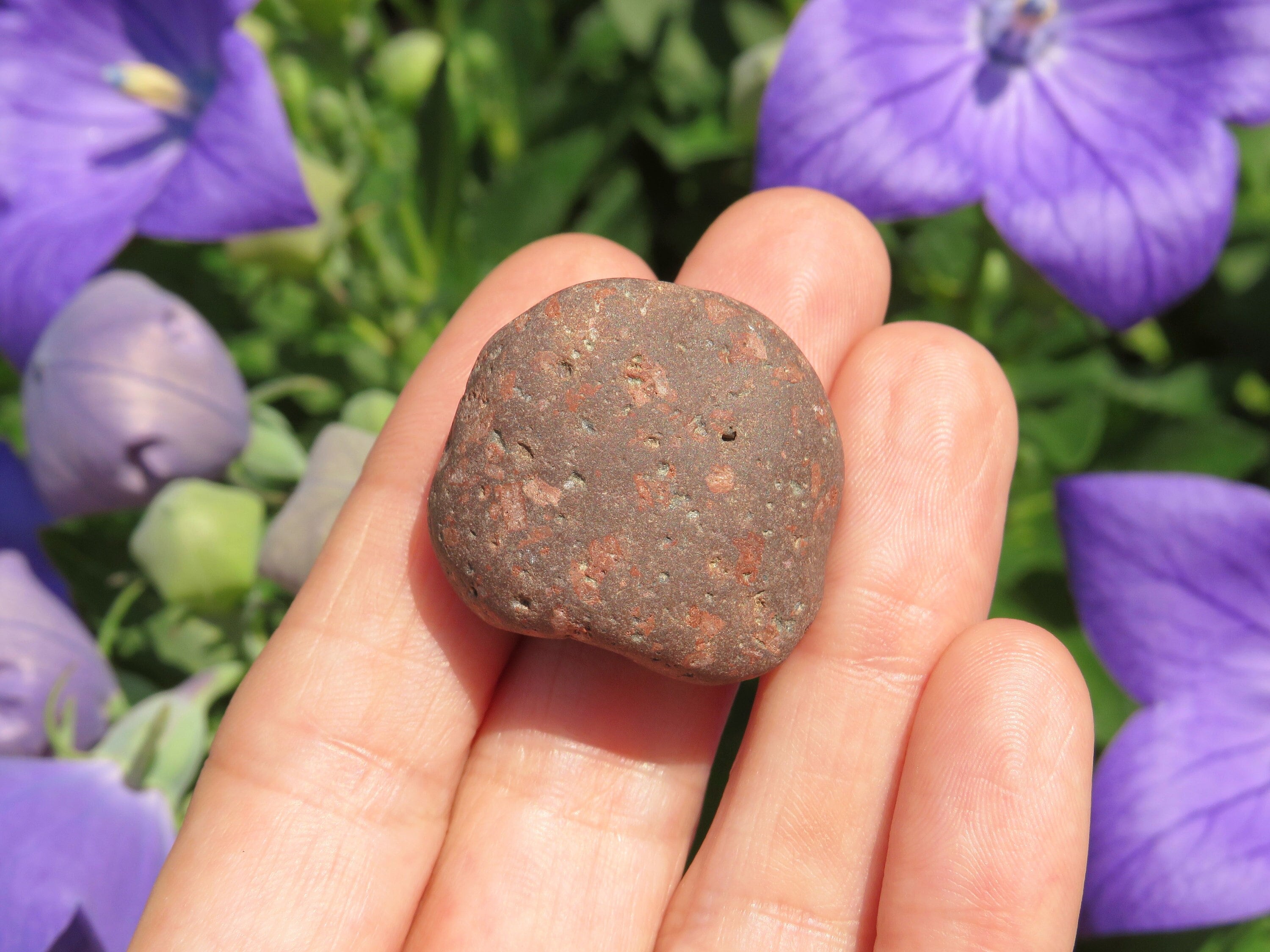 Magnetic Basalt Porphyry Rock, Porphyritic Basalt, Magnetic Rock, Lake ...