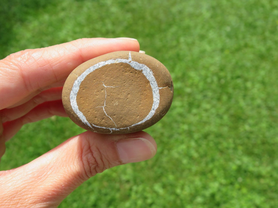 Michigan Lightning Stone, Septarian Nodule, Circle Stone, Lake Michigan ...