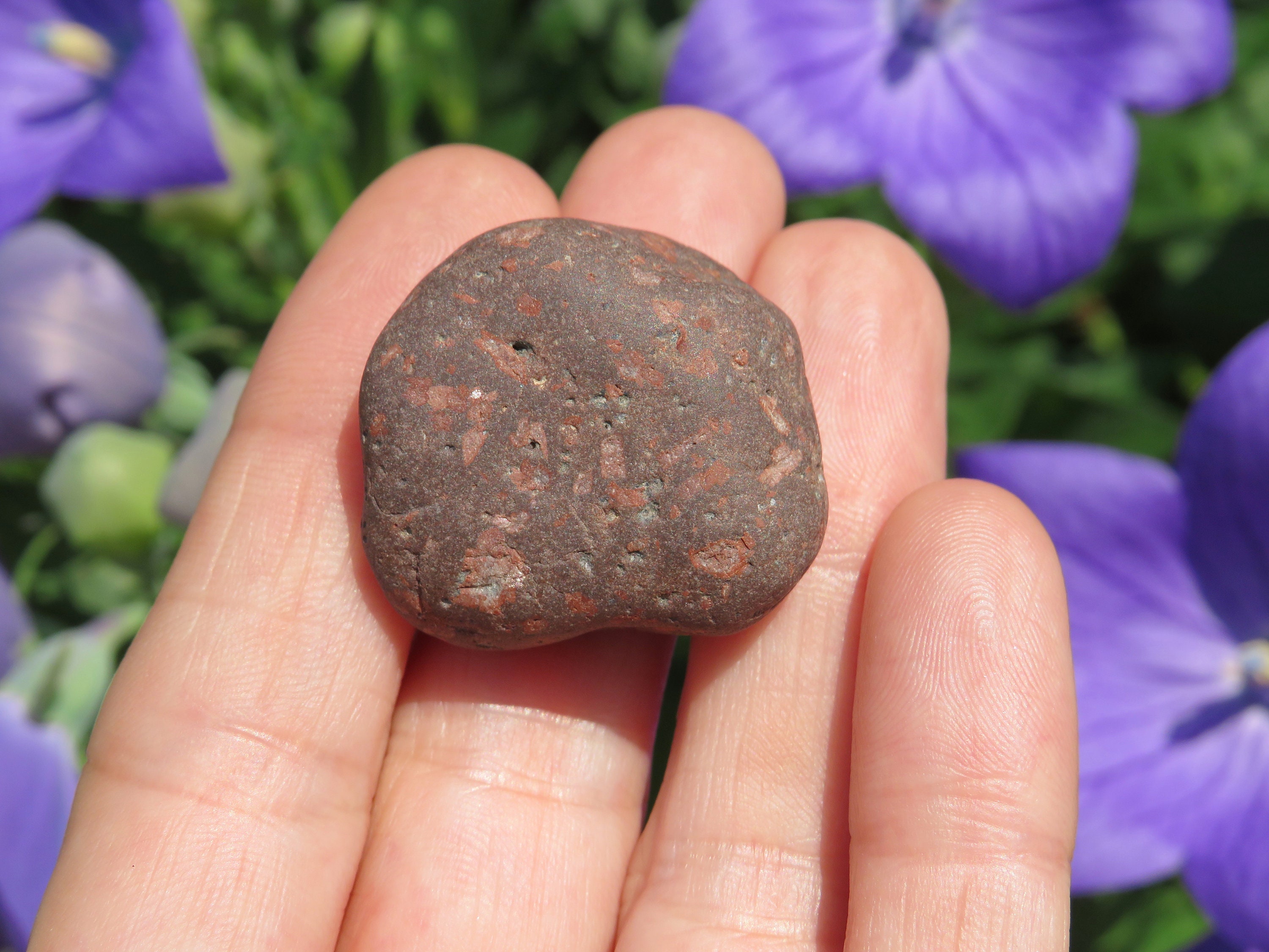 Magnetic Basalt Porphyry Rock, Porphyritic Basalt, Magnetic Rock, Lake ...