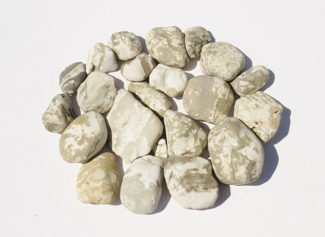 Lake Michigan Chert Stones, Michigan Rocks, Michigan Chert Limestone ...