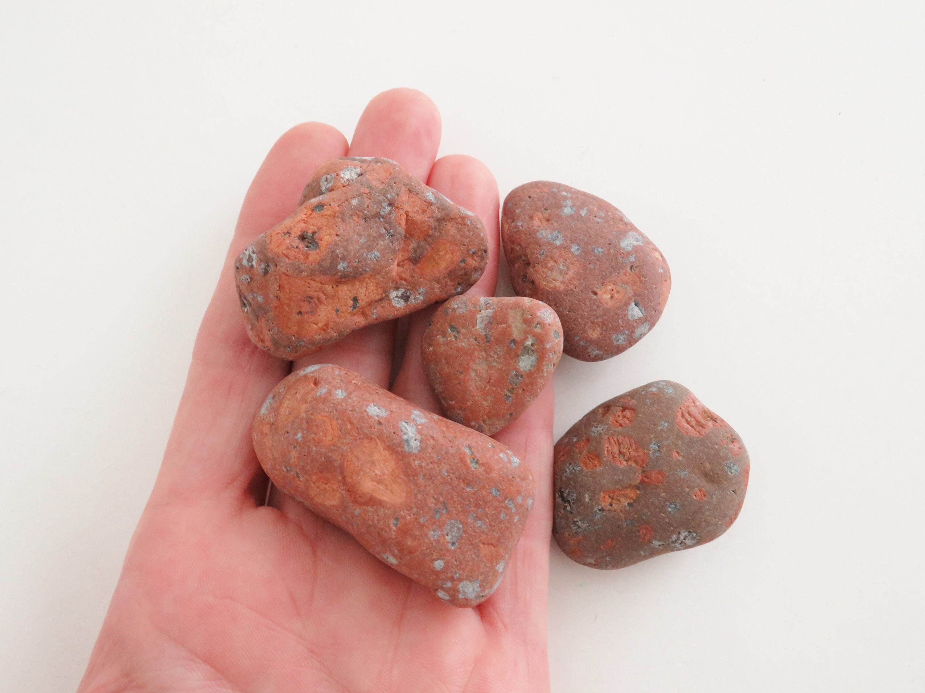 Michigan Amygdaloidal Basalt & Rhyolite Rocks, Space Stones, Michigan ...