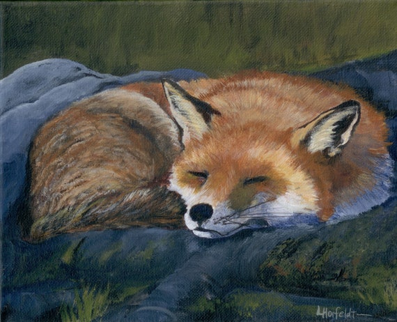 Sleeping Fox Art