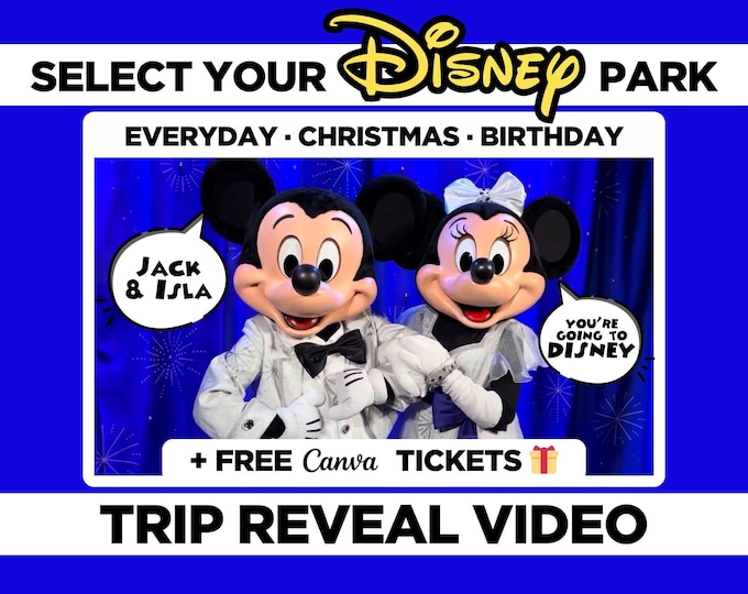 Personalized Mickey Minnie Surprise Trip Reveal Video Message Mouse ...