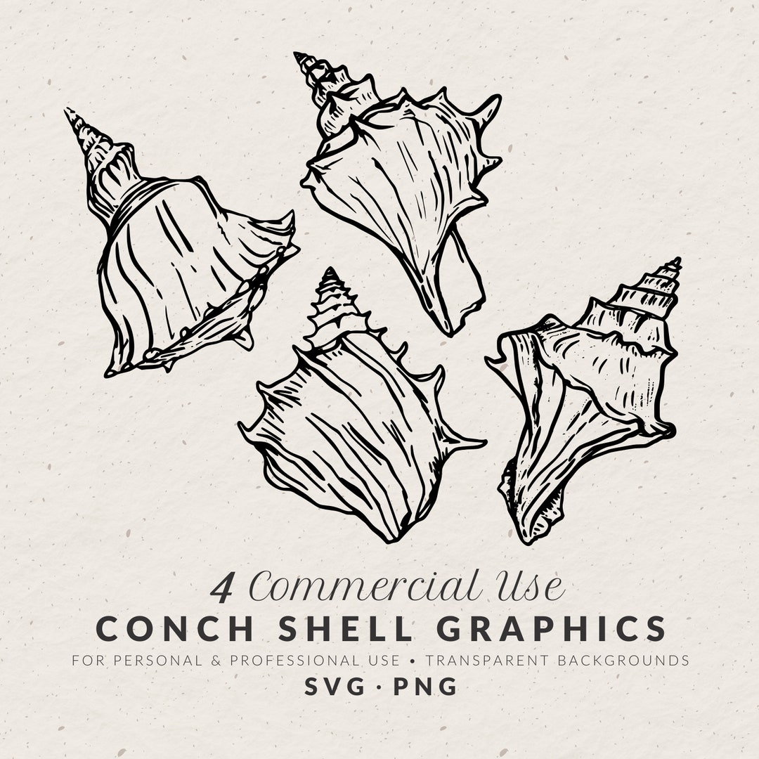 Hand Drawn Conch Shell Illustration Bundle SVG PNG, Vintage Doodles ...