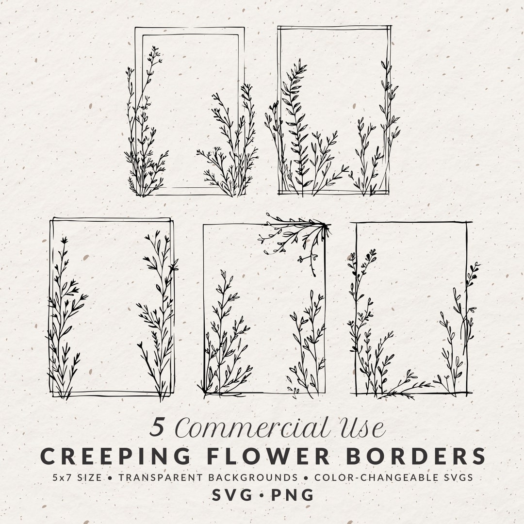 Hand Drawn Flower Vine Border Illustration Bundle Set SVG PNG, Size 5x7 ...