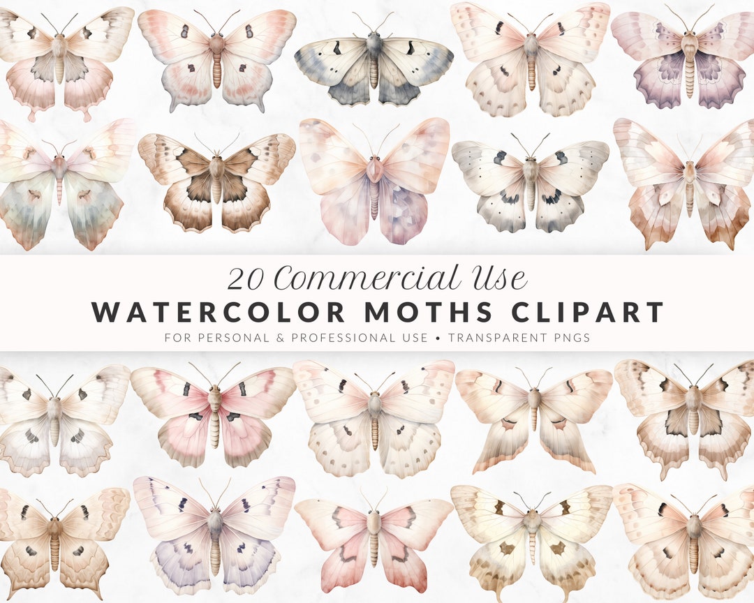 Watercolor Moth Clipart Pngs, Pink Moths Clipart, Watercolor Clipart ...