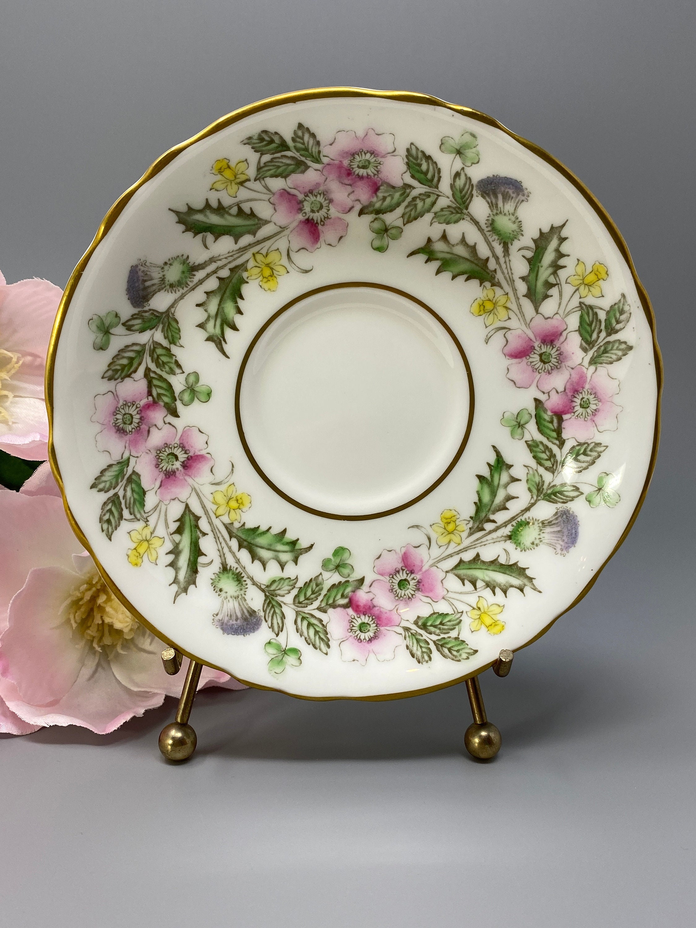 Home & Living Paragon Queen Elizabeth Coronation Pink Blossom and ...