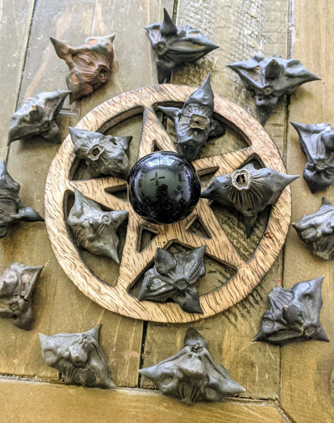 Devil Pods / Bat Nuts, Foraged, Protection, Witchcraft, Jewelry ...