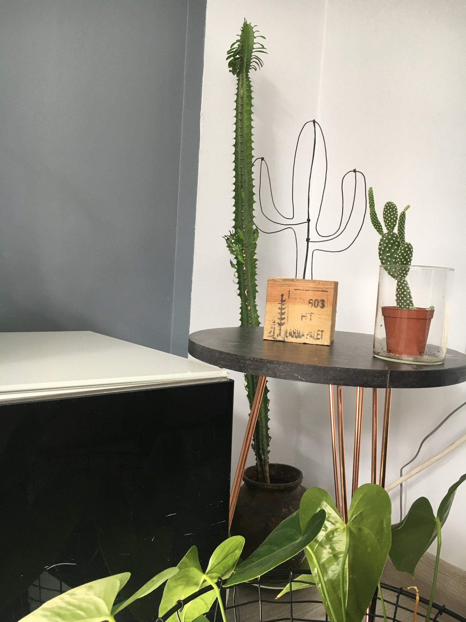 Wire art Cactus / Succulents Decor Metal / Handmade / | Etsy