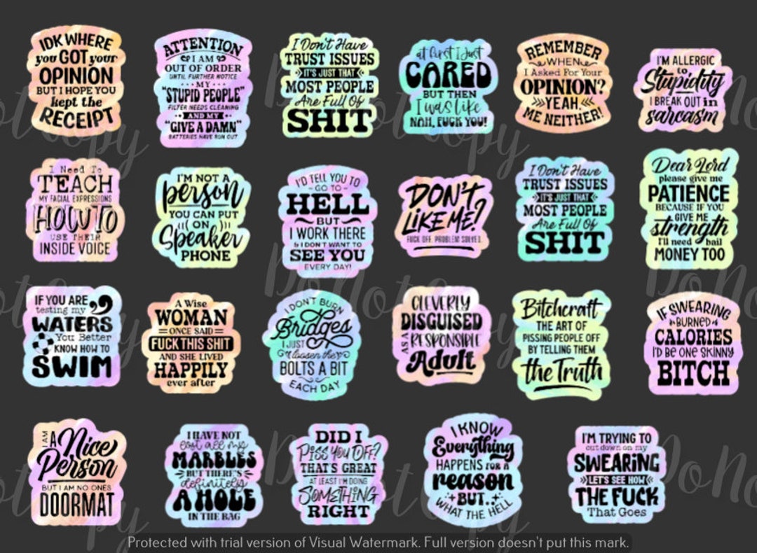 15 Sarcastic Quote Stickers Adult Bundle Sarcasm Snarky Funny Sticker ...