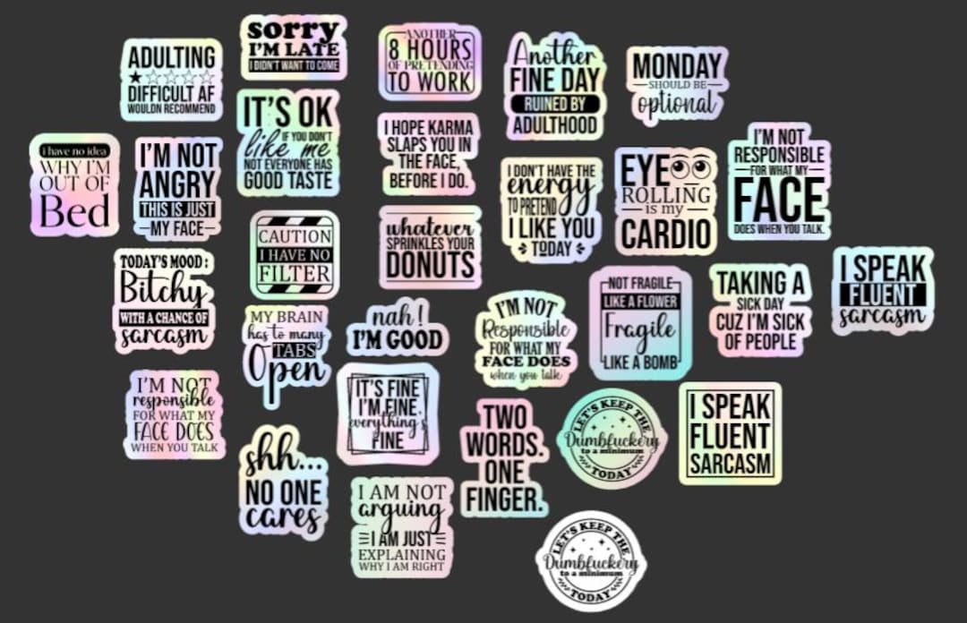 15 Stickers Funny Sarcastic Quote - Bundle Pack - Sarcasm Snarky ...