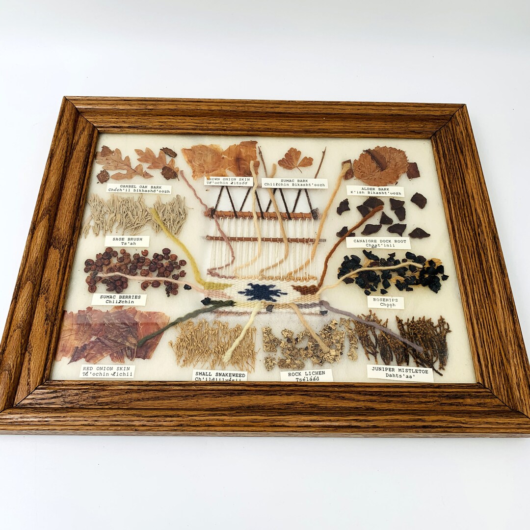 Exceptional Dye Chart Diorama, Plants Used to Make Dyes for Navajo ...
