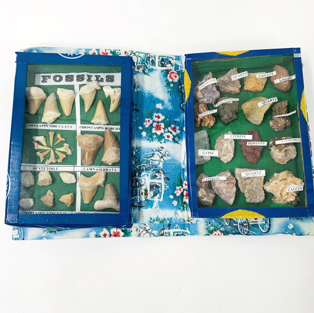 Fossils and Mineral Collections, Rough Crystals, Vintage Gemstone Set ...