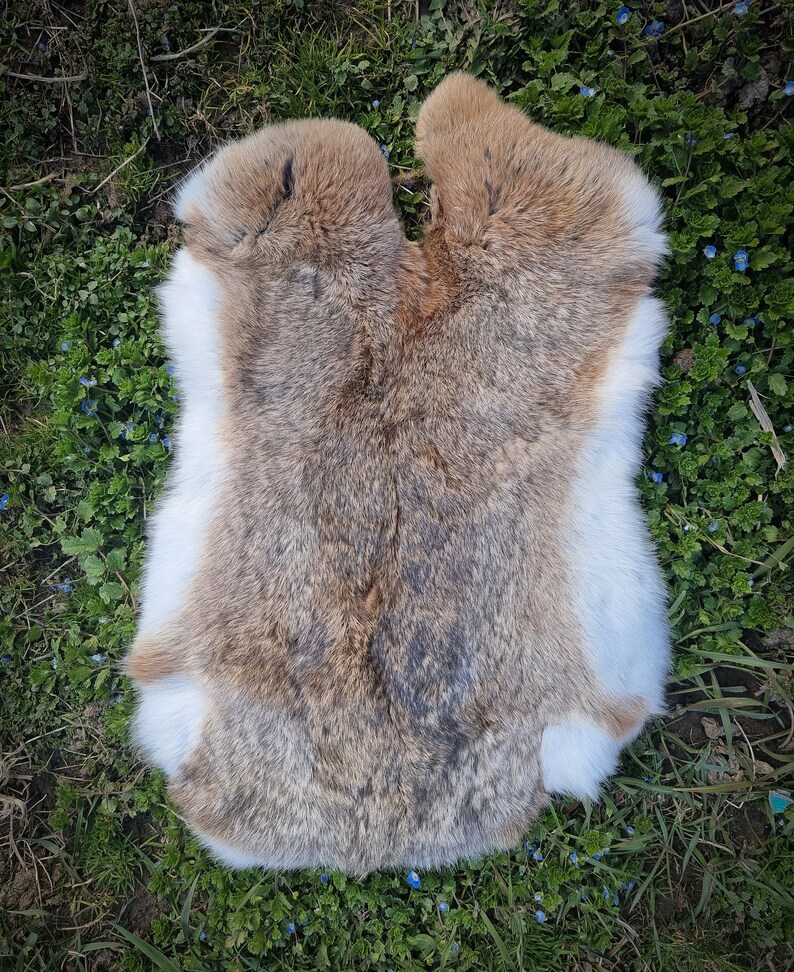 Rabbit Pelt With Bindrune - Etsy