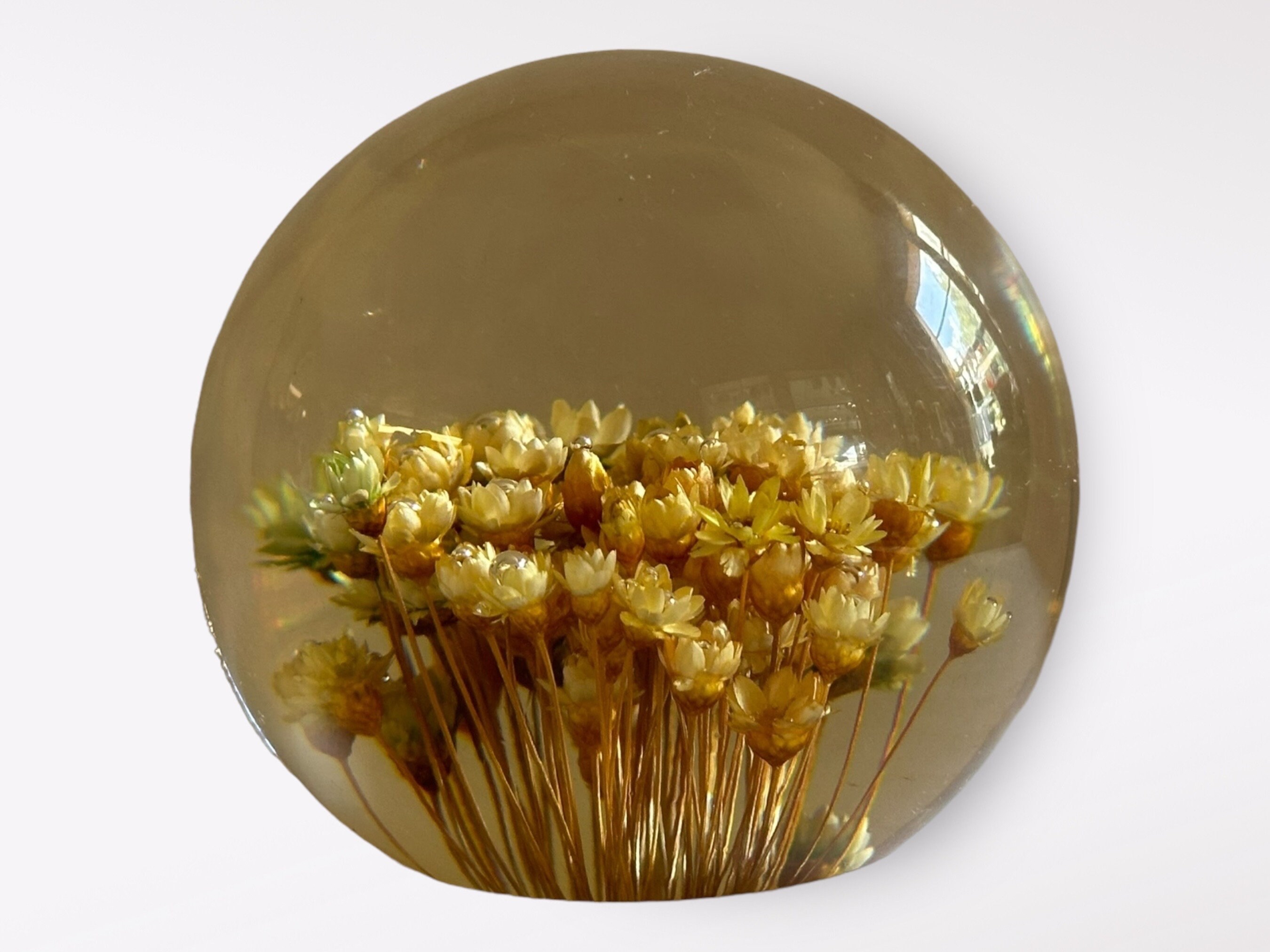 Clear Resin PAPERWEIGHT Sphere Encapsulated Preserved REAL FLOWERS - Etsy