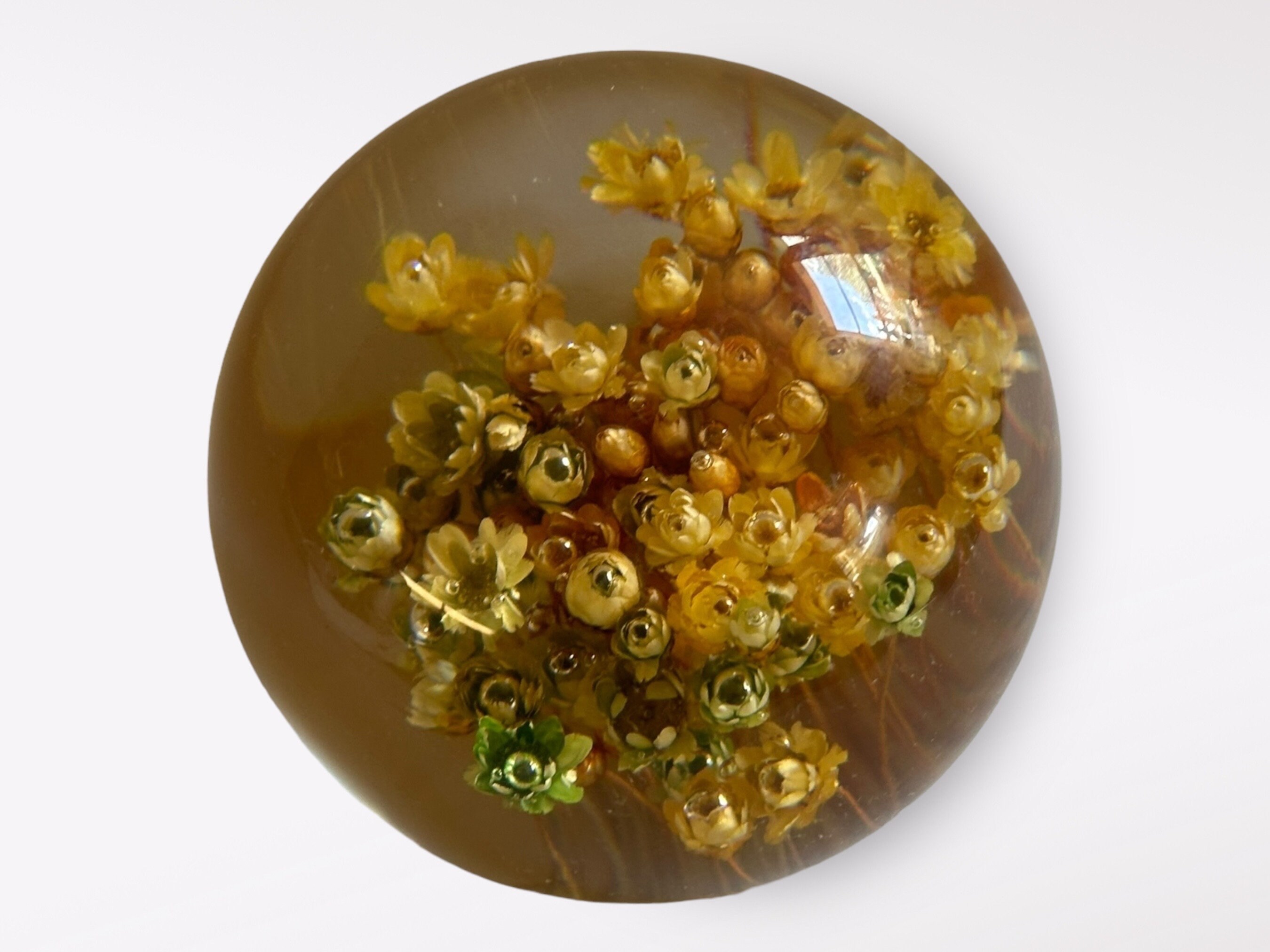 Clear Resin PAPERWEIGHT Sphere Encapsulated Preserved REAL FLOWERS - Etsy
