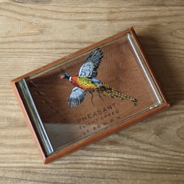 Pheasant Decor - Etsy