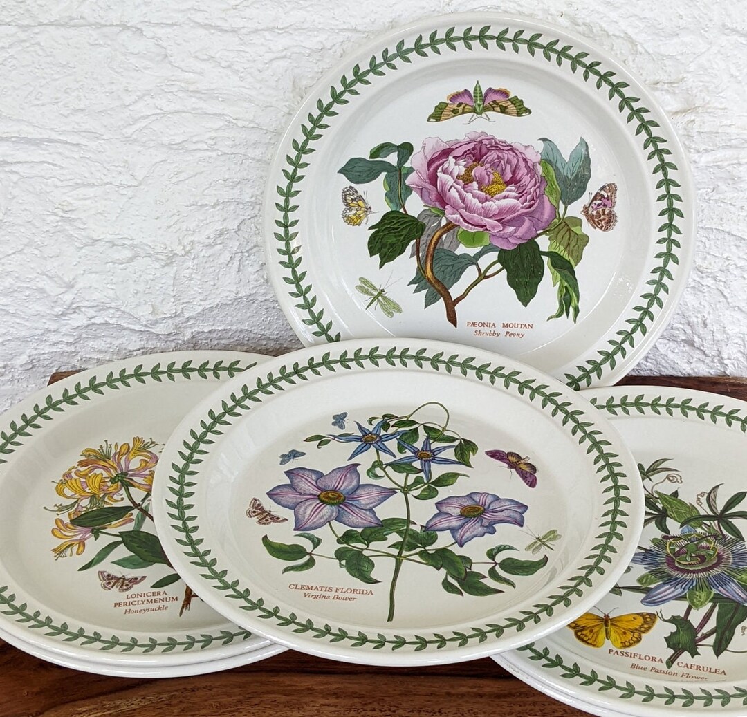 Set of 6 Portmeirion Dinner Plates, the Botanic Garden by Susan ...