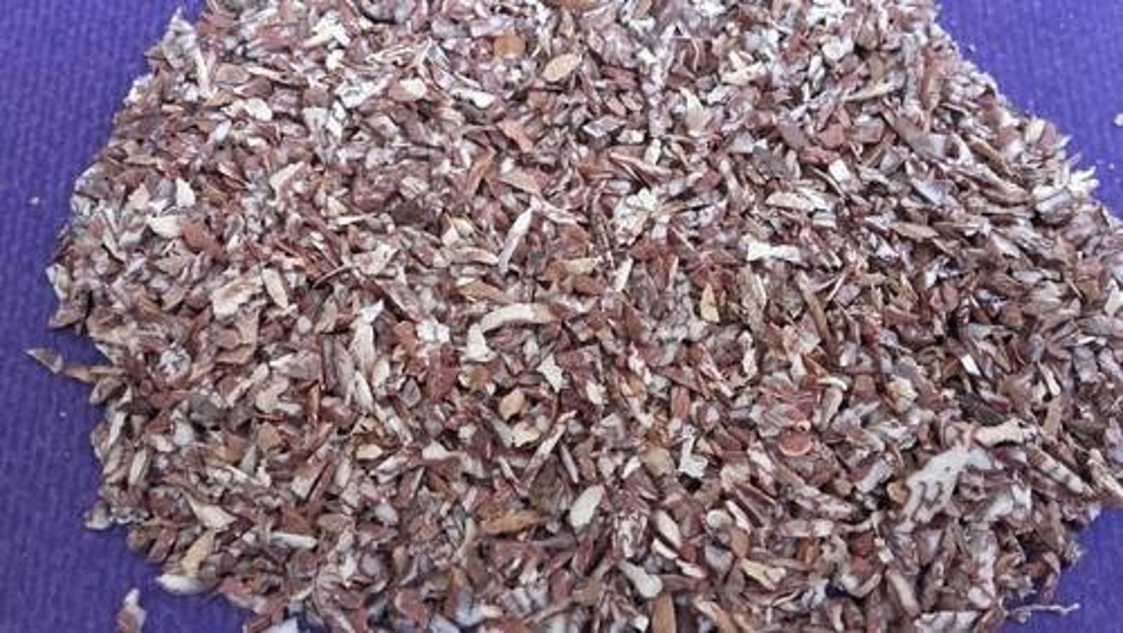 100 Gram Betel Nut Supari Sopari Premium Quality Katri Supari | Etsy