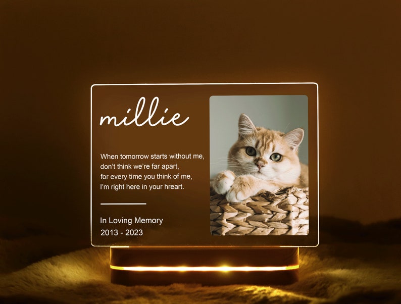In Loving Memory Pet Night Light, Light up Pet Memorial Plaque ...