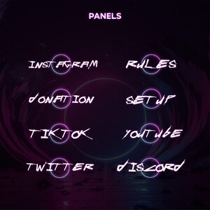 Pack Overlay Stream Neon Punk WEBM Mp4 Format Compatible With OBS ...