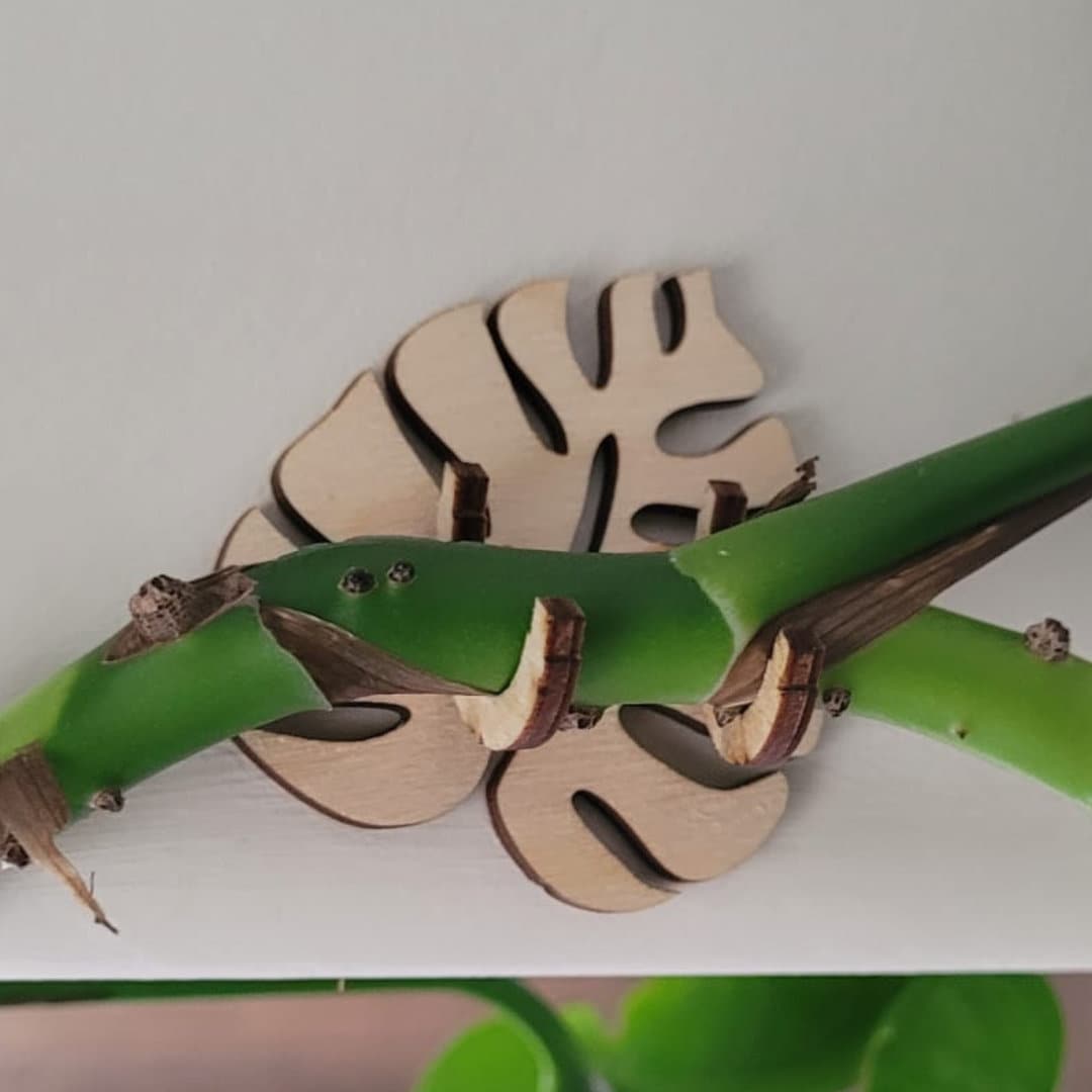 20 Pcs Plant Climbing Wall Fixture Clips Plant Climbing Support Vine ...